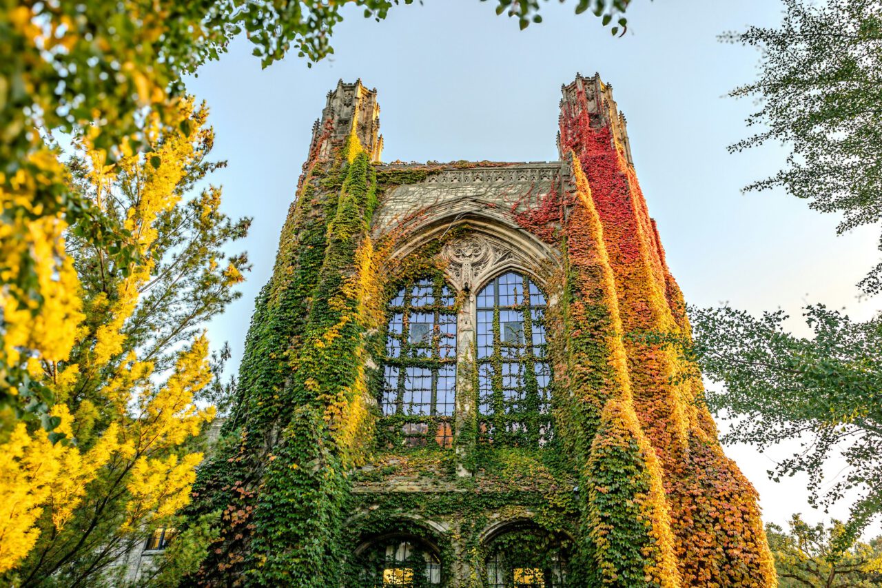 About Graham - UChicago | Graham School