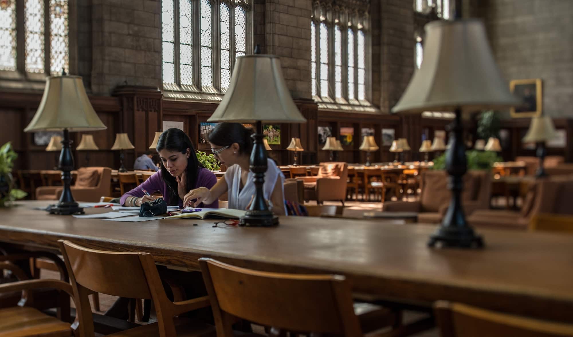Graduate Student-at-Large Bridge Programs - UChicago | Graham School