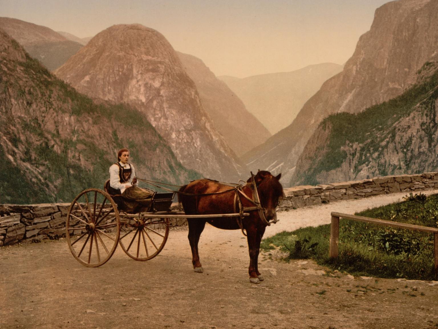 The Novel of Youth - UChicago | Graham School